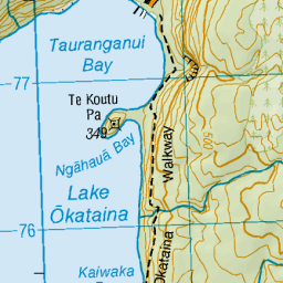 Lake Okataina, Bay of Plenty - NZ Topo Map