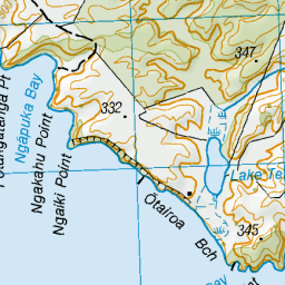Puketapu Bay, Bay of Plenty - NZ Topo Map