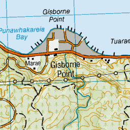 Gisborne Point, Bay of Plenty - NZ Topo Map