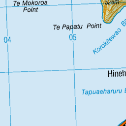 Tapuaeharuru Bay, Bay of Plenty - NZ Topo Map