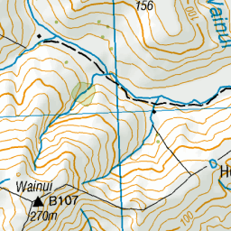 Wainui, Manawatu-Wanganui - NZ Topo Map