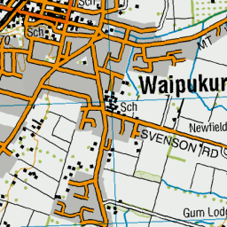 Waipukurau, Hawke's Bay - NZ Topo Map