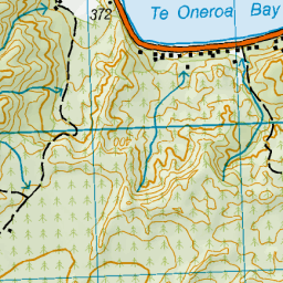 Te Oneroa Bay, Bay of Plenty - NZ Topo Map