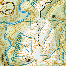 Rangitaiki River, Bay of Plenty - NZ Topo Map