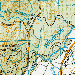 Whirinaki River, Bay of Plenty - NZ Topo Map