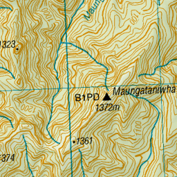Maungataniwha, Hawke's Bay - NZ Topo Map