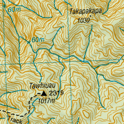 Tawhiuau, Bay of Plenty - NZ Topo Map