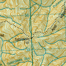 Pukawa Stream, Bay of Plenty - NZ Topo Map