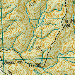 Te Wharau, Bay of Plenty - NZ Topo Map