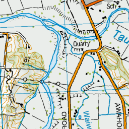 Taneatua, Bay of Plenty - NZ Topo Map