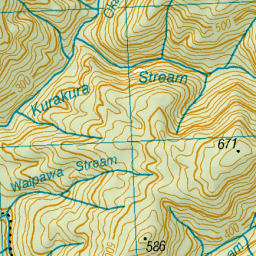 Waipawa Stream, Bay of Plenty - NZ Topo Map