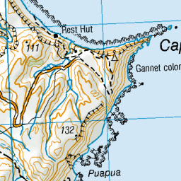 Cape Kidnappers, Hawke's Bay - NZ Topo Map