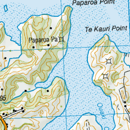 Paparoa Point, Bay of Plenty - NZ Topo Map