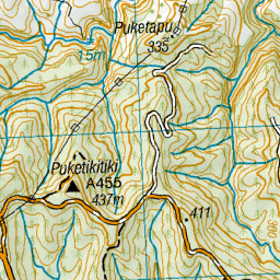 Puketapu, Hawke's Bay - NZ Topo Map