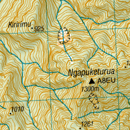 Ngapuketurua, Bay of Plenty - NZ Topo Map