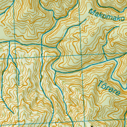 Torere River, Bay of Plenty - NZ Topo Map
