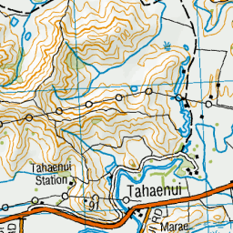 Tahaenui Station, Hawke's Bay - NZ Topo Map