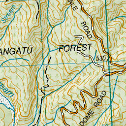 MANGATU FOREST, Gisborne - NZ Topo Map