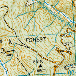 RUATORIA FOREST, Gisborne - NZ Topo Map