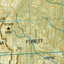 RUATORIA FOREST, Gisborne - NZ Topo Map