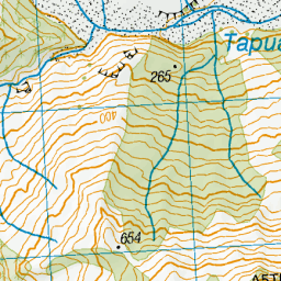Tapuaeroa River, Gisborne - NZ Topo Map