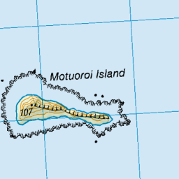 Motuoroi Island, Gisborne - NZ Topo Map