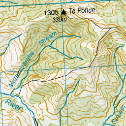 Wairoa River, Gisborne - NZ Topo Map